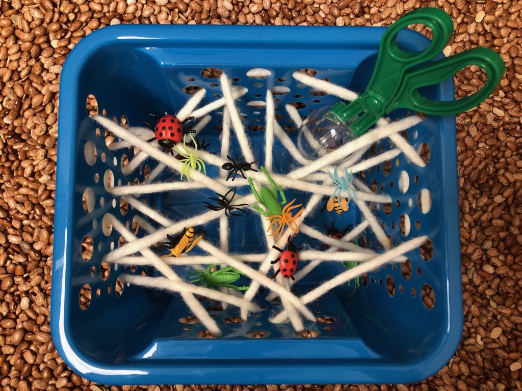 Catch-a-Bug OTPlan Activity Idea